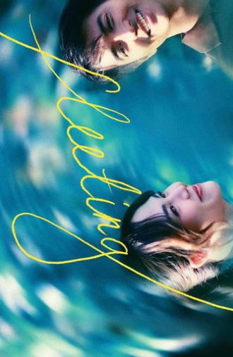 Fleeting (2025) - TView